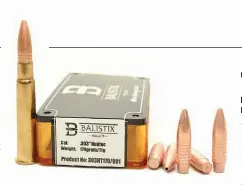 Balistix .303 Bullets - PressReader