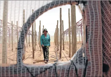 Moagi leads farming revolution - PressReader