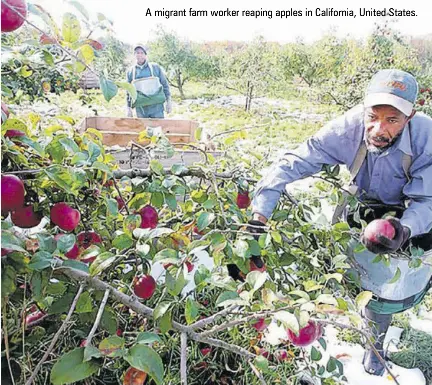 Farm work programme not for sale, says MP Miller - PressReader