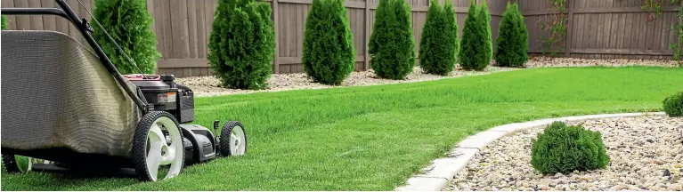 It is possible to have perfect lawn - PressReader