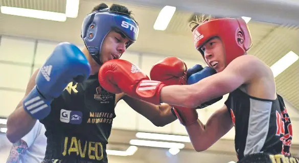 Yard fighters put on a Top show at Gladstone - PressReader