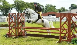 First-season pair exceed expectatio­ns - PressReader