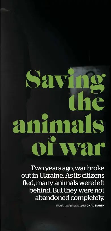Saving the animals of war - PressReader