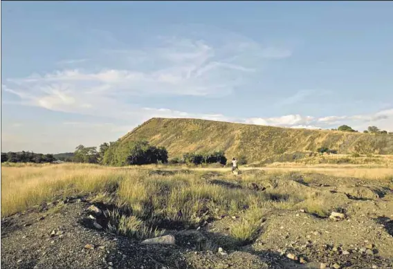 MMSEZ ducks water, jobs, climate issues - PressReader