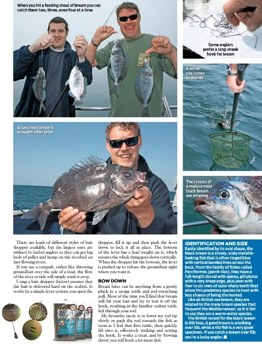 BREAM BONANZA! - PressReader