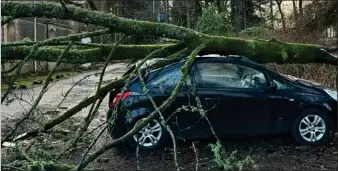 Borders set for another storm amid Isha clear up - PressReader