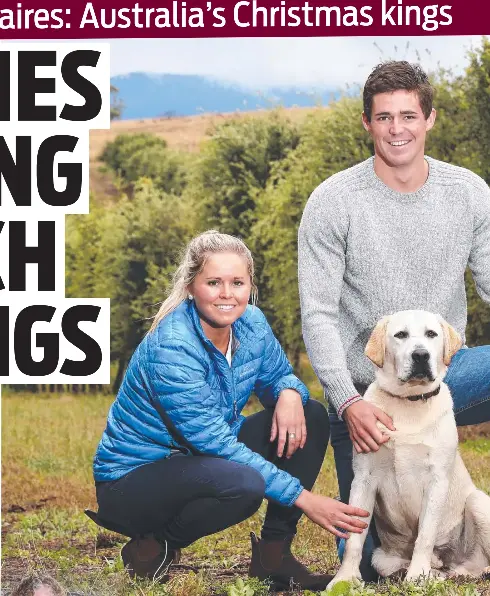 FAMILIES SERVING UP RICH PICKINGS - PressReader
