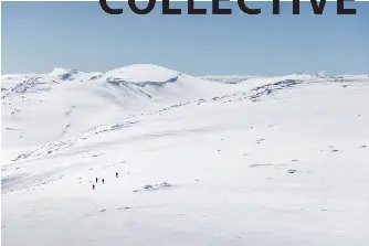 MOUNTAIN SAFETY COLLECTIVE - PressReader