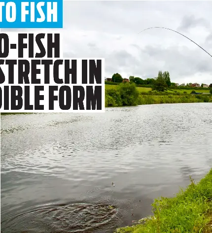 FREE-TO-FISH RIVER STRETCH IN INCREDIBLE FORM - PressReader