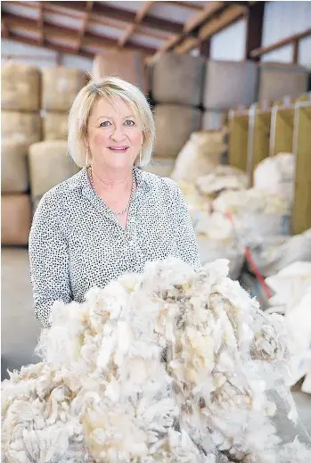 Long road to revive wool worth taking - PressReader