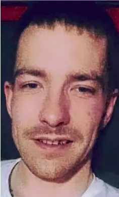 Drugged bin raider ‘looking for a bird’ - PressReader