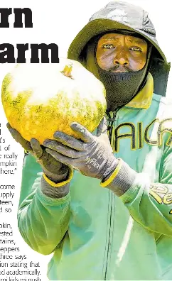 Rockfort brothers turn dump into thriving farm - PressReader