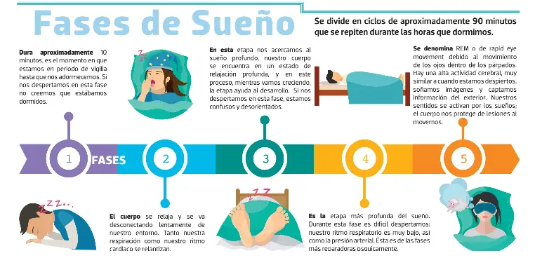 Fases de Sueño - PressReader