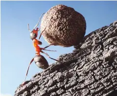 Build greatness like an ant - PressReader