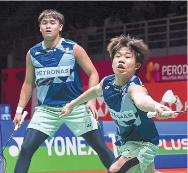 Cool tips to tame Danes - PressReader