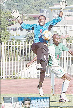 Leopard’s Junior our Star of the Week - PressReader