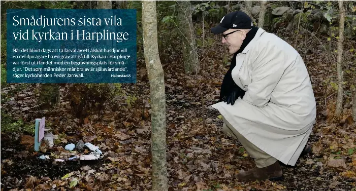 Smådjurens sista vila vid kyrkan i Harplinge - PressReader