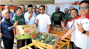 Collaborat­ive pineapple farming takes off in Rompin - PressReader