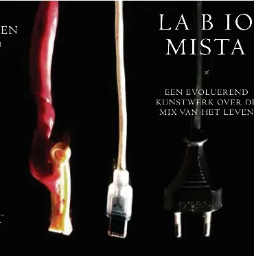 Een installati­e voor het ontkleuren van rode naar witte mazout ...