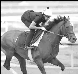 Program Trading tries to rebound in Pegasus Turf - PressReader