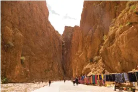 ‘If you are not lost within a minute, you’re not trying hard enough’ – my search for magical ...