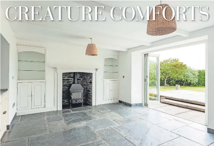 CREATURE COMFORTS - PressReader