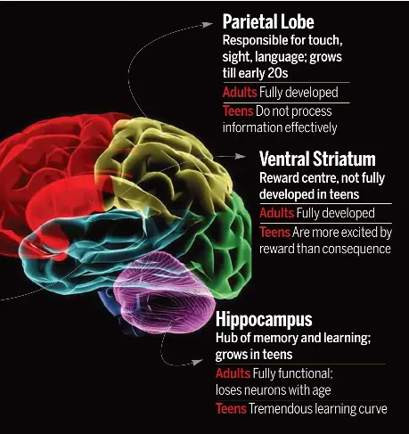 INSIDE THE TEENAGE BRAIN - PressReader