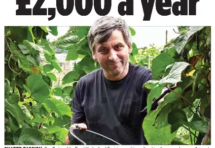 How to win the battle of the allotments – and save up to £2,000 a year ...