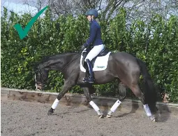 Riding long and low - PressReader