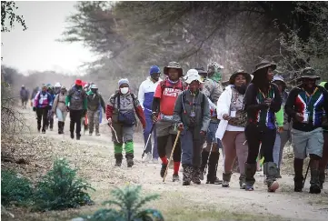 Desert Bush Walk preps ongoing - PressReader