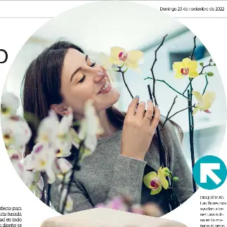 Crea zen tu espacio - PressReader