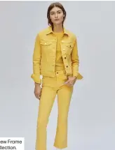 Nicolas Dreyfus Joins Frame as CEO - PressReader