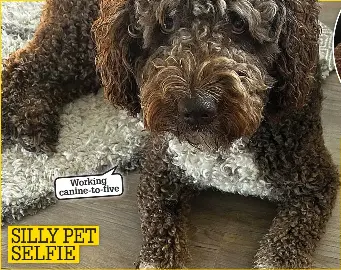 Let’s do this together - PressReader