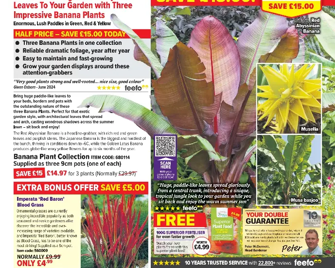 Luxurious charm - PressReader