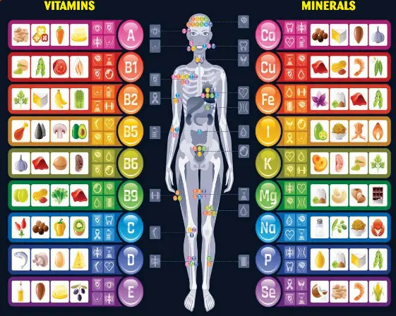 Health benefits of vitamin and mineral rich foods - PressReader