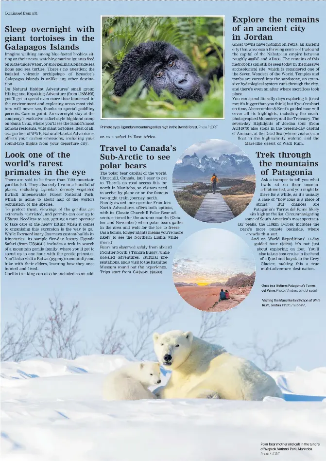 Trek through the mountains of Patagonia - PressReader