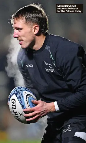 Falcons aiming to fuel Rugby Cup ambitions - PressReader