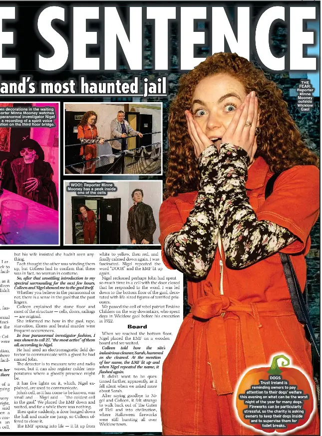 SCARIEST NIGHT OF THE YEAR E SENTENCE and’s most haunted jail - PressReader