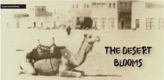 A glimpse into rapidly modernizin­g Kuwait in the 1960s through the ...