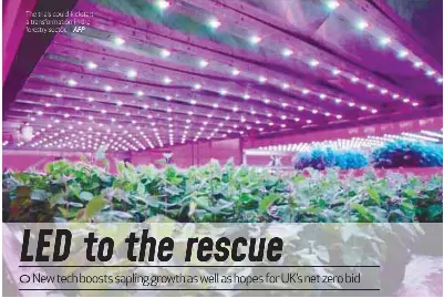 LED to the rescue - PressReader
