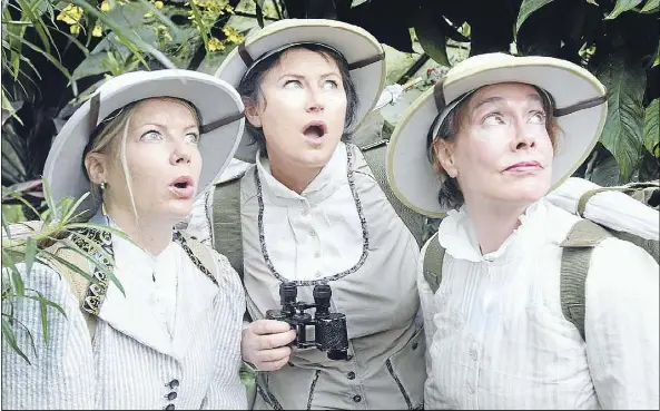 Humour and time travel surrealism - PressReader