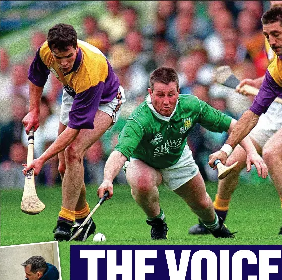 THE VOICE OF WEXFORD GAA - PressReader
