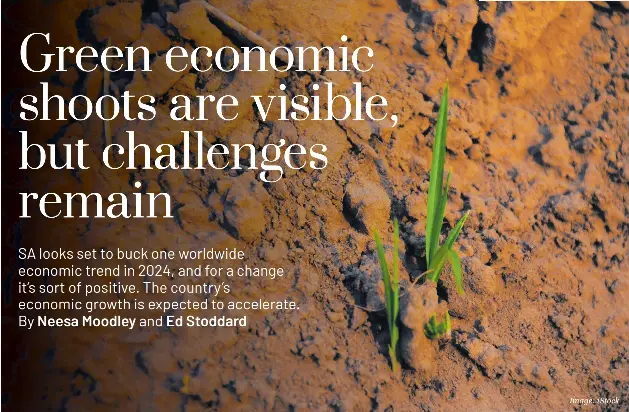 Green economic shoots are visible, but challenges remain - PressReader