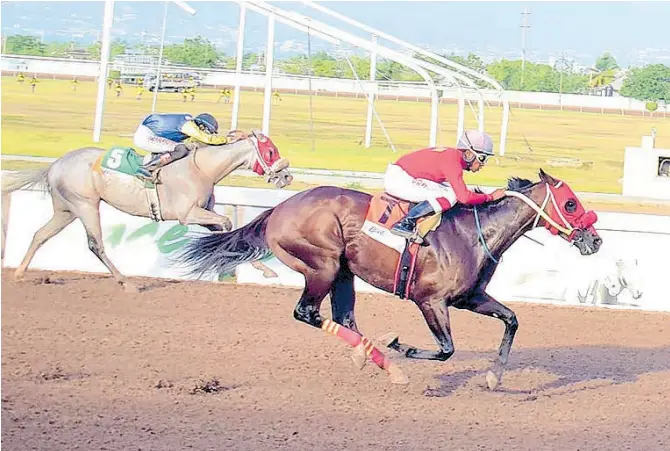 No sweat for classy Pack Plays - PressReader