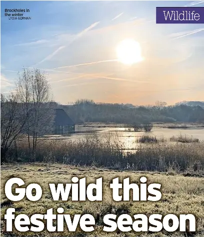 Go wild this festive season - PressReader