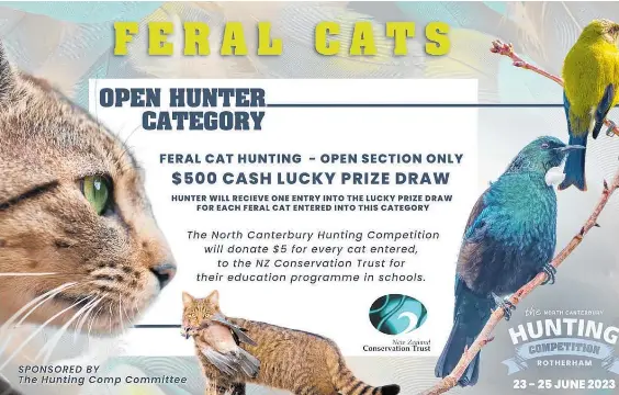 Contest to kill feral cats back on despite row - PressReader