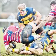 Strength in numbers is the key for Oaks’ Olly - PressReader