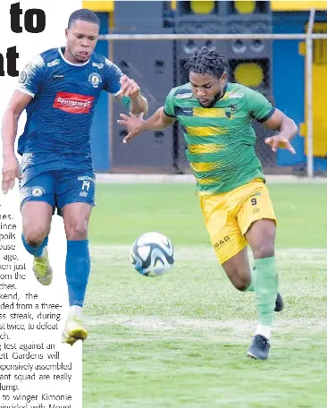 ‘Junglists’ look to ambush Mount Pleasant - PressReader