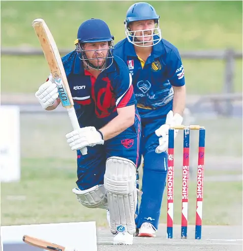 OPENERS SHOW WAY - PressReader