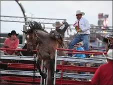 Legendary rodeo stock contractor from Raymond will lead Whoop-Up Days ...